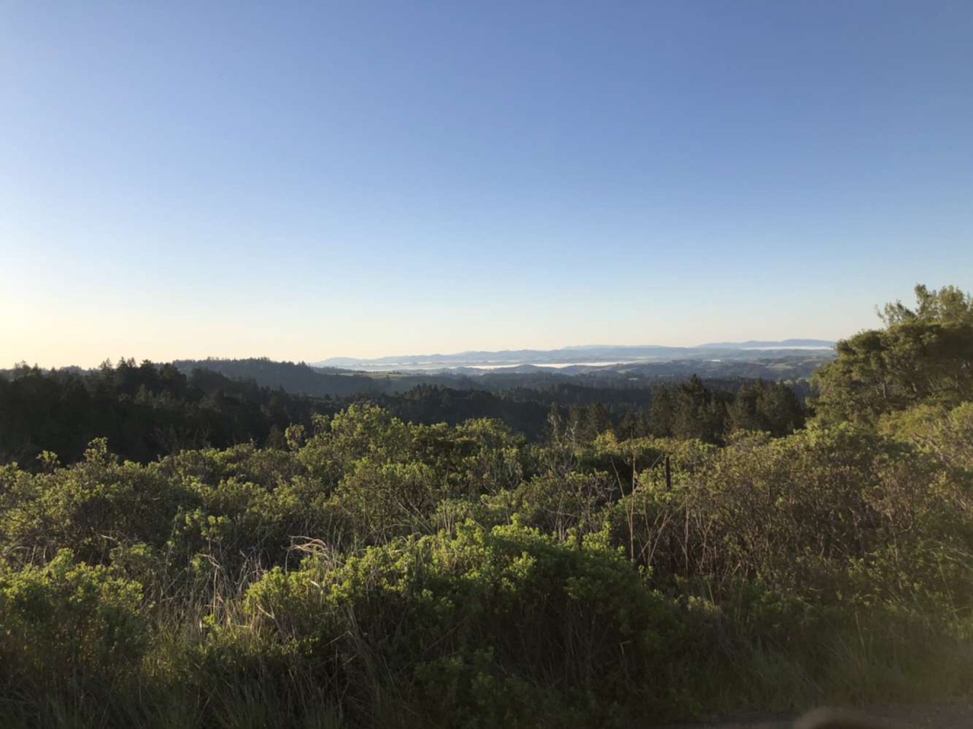 Marin County Moving Company | Sausalito Moving & Storage
